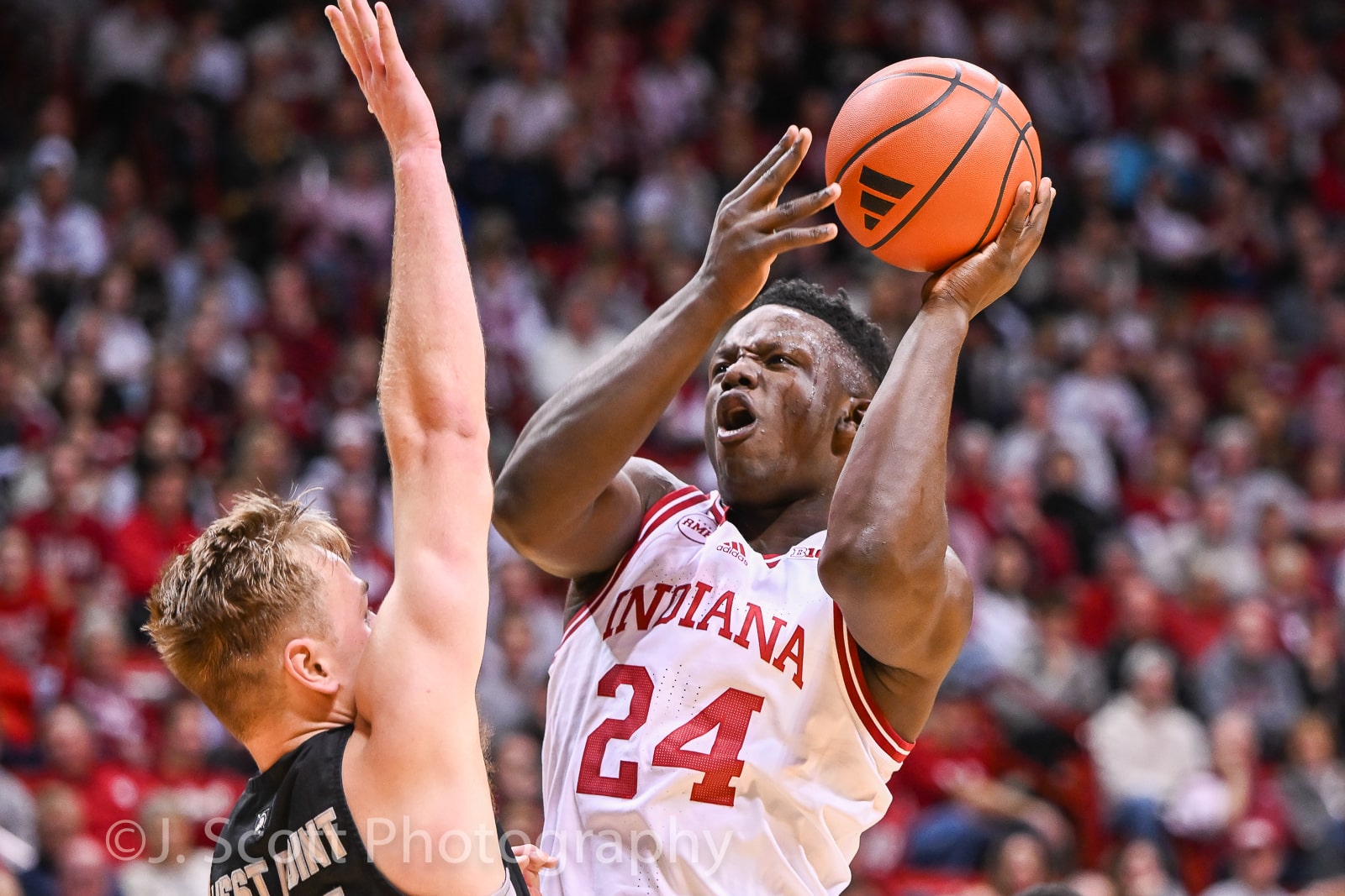 Indiana forward Payton Sparks to enter the transfer portal - Inside the ...