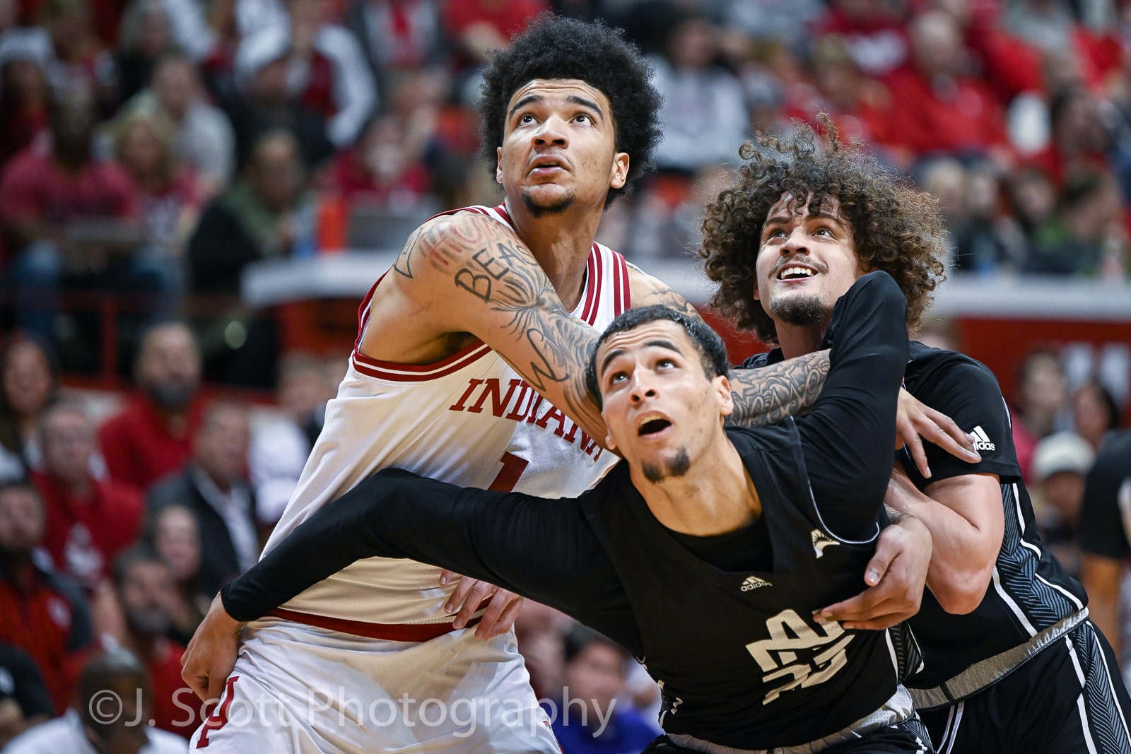 How to watch Indiana's final non-conference game against Kennesaw State ...